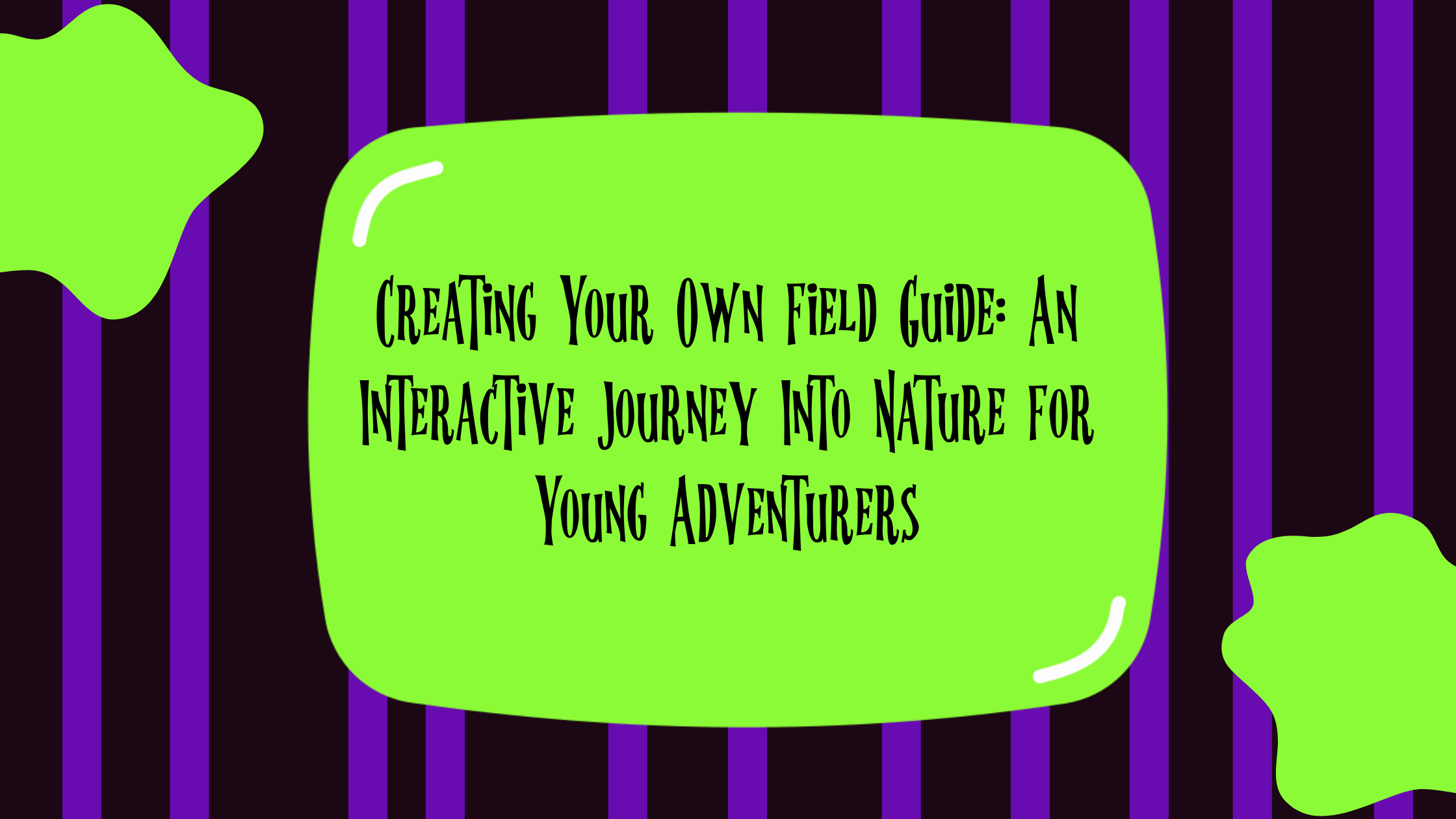 Creating Your Own Field Guide: An Interactive Journey Into Nature for – Angelina Allsop Books